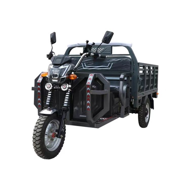 High Speed Large Size Three Wheel Cheap Electric Adult Cargo Tricycle ...