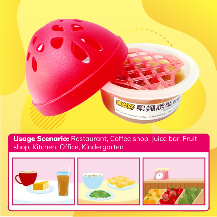 Adhesive Fruit Fly Trapper Sticky Jelly Trap for Effective Fruit Fly ...