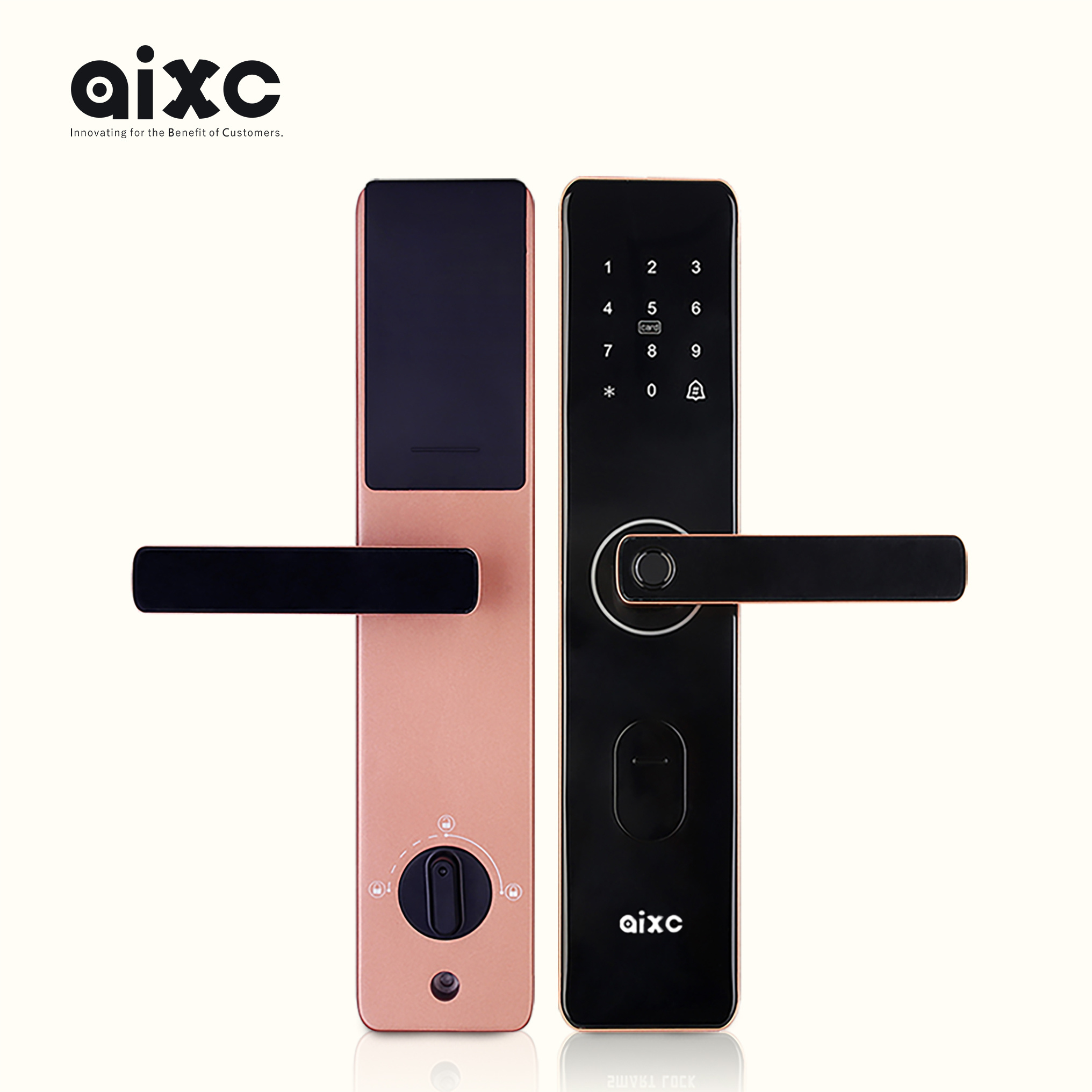 AIXC Wifi TTlock App Smart Door Lock Biometric Lock Fingerprint Door ...