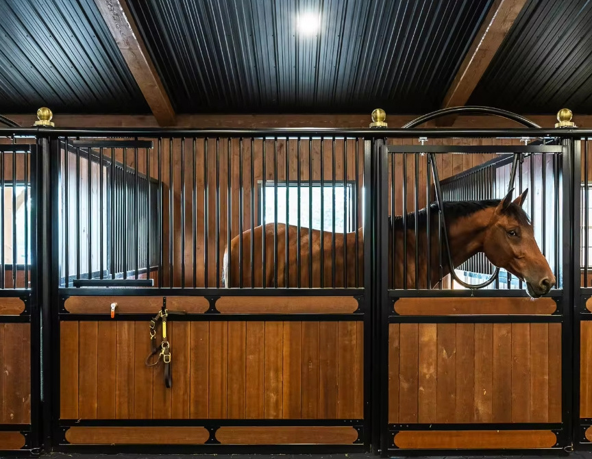 Steel hot dip standard horse barn door horse room frame only modular ...
