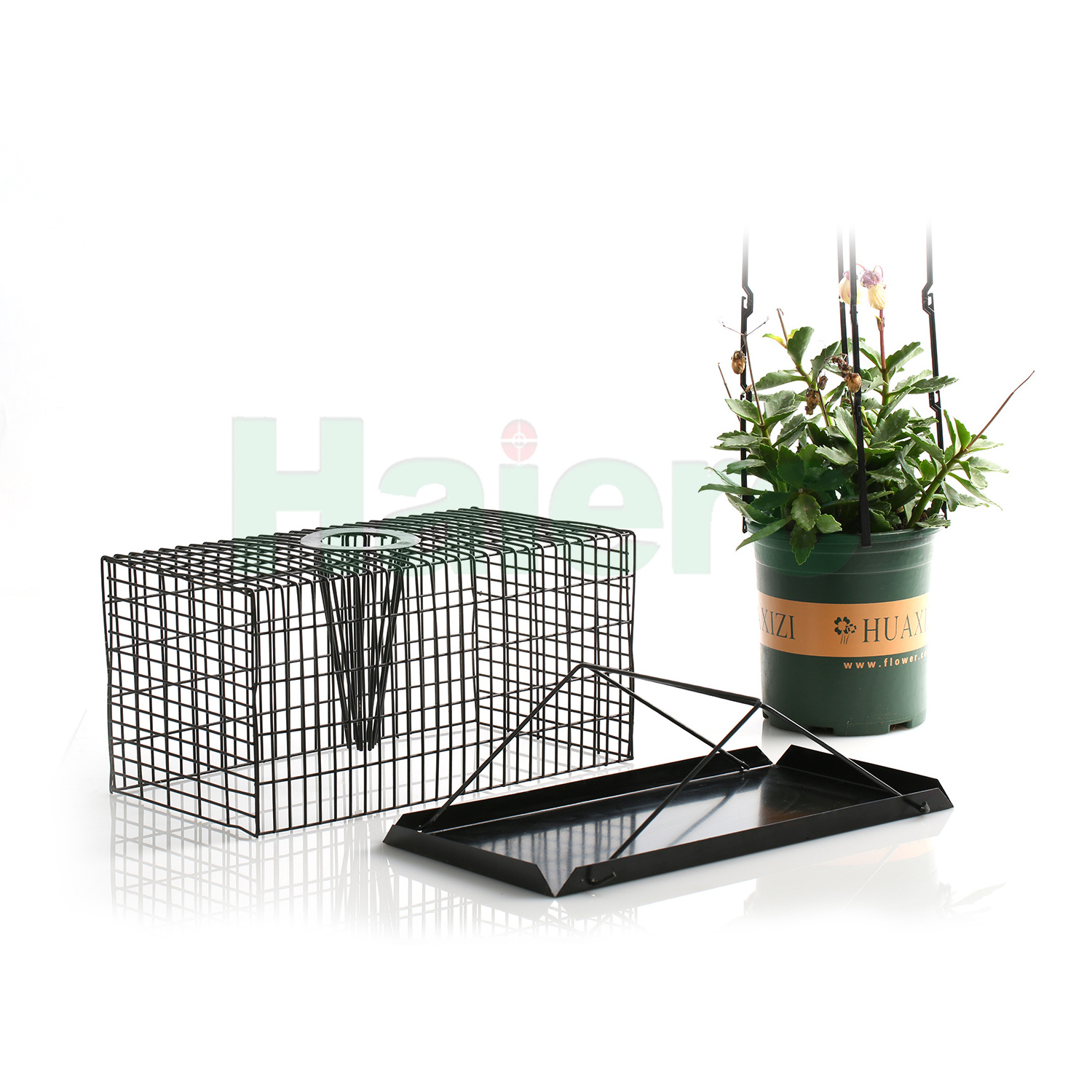 Haierc humane small rodent control mouse rat trap cage metal live catch ...
