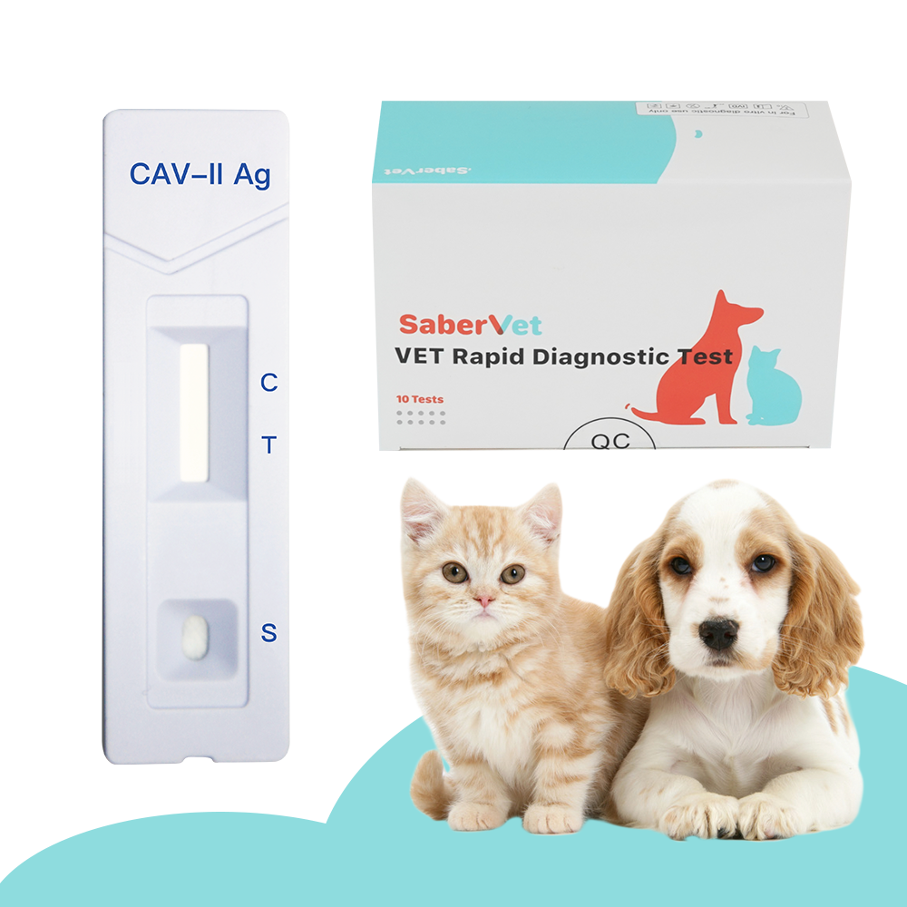 vet diagnostics testkit Veterinary Instrument pet Canine Adenovirus II ...