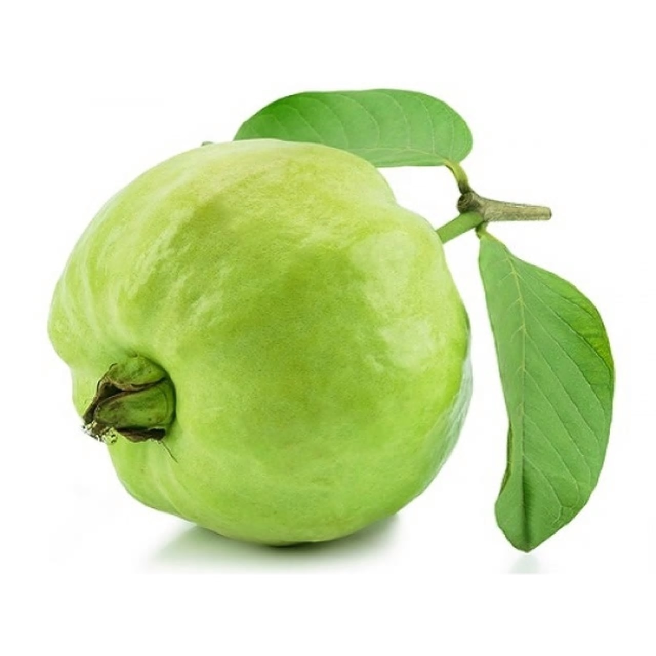 Guava Seed Oil 100% Natural Pure Carrier Oil | Bestsuppliers.com