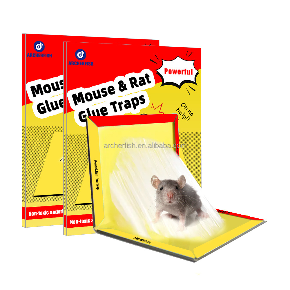 10 Pack Mouse Traps Rat Glue Board BestSuppliers