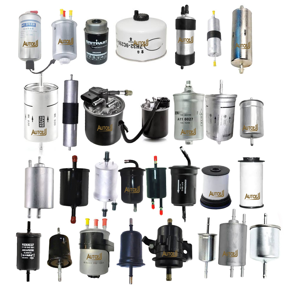 Fuel Filter Gasoline Filter for Volkswagen Suzuki Lada Renault Peugeot ...