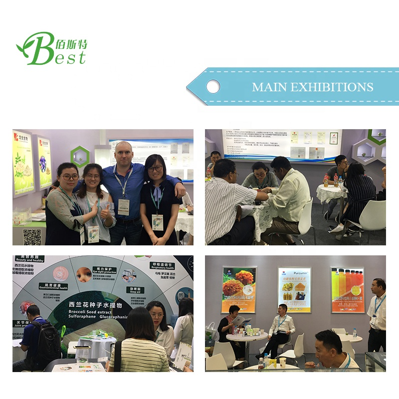 High Quality Pure Pandan Leaves Extract Powder Organic Plant Extract ...