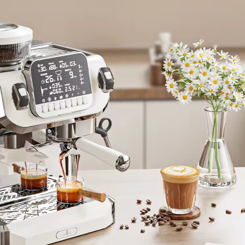 Italy 15 bar Single serve Coffee Machine Professional Cappuccino Coffee ...