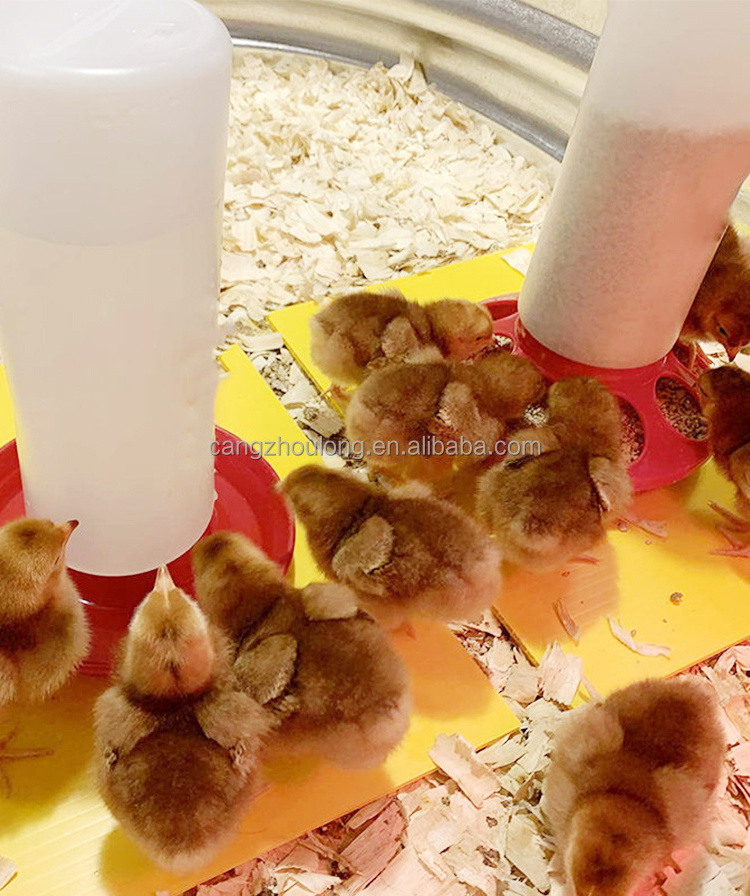 ZB 1L 1kg Manual Automatic Plastic Poultry Chicken Bird Fountain Baby ...