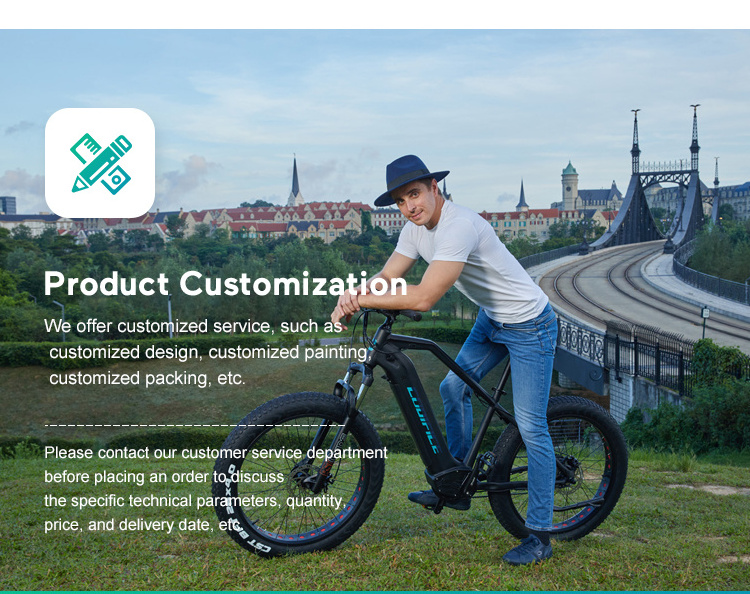 hybrid B to B e-bike 250w 750 watt 26inch 4.0 fat tire fast electric ...