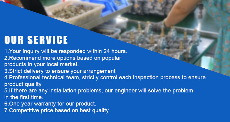 Cylinder Cng incredible Lpg 510N Timing