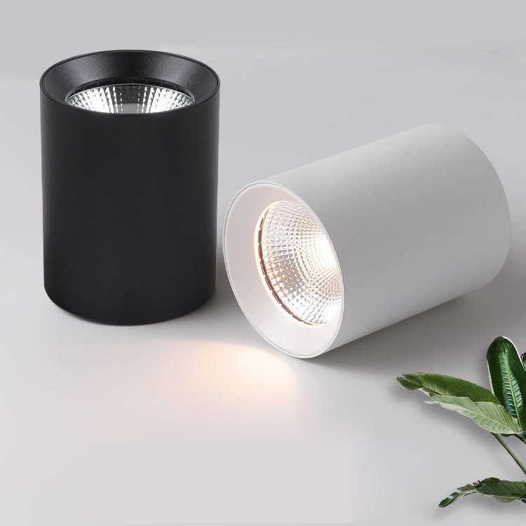 Black White Round Ceiling light Surface Mounted Cylinder LED Downlight ...