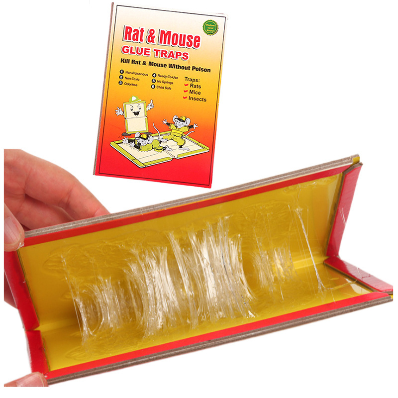 House Indoor Sticky Pad Boards Strongly Adhesive Mouse Trap Rat Mice ...