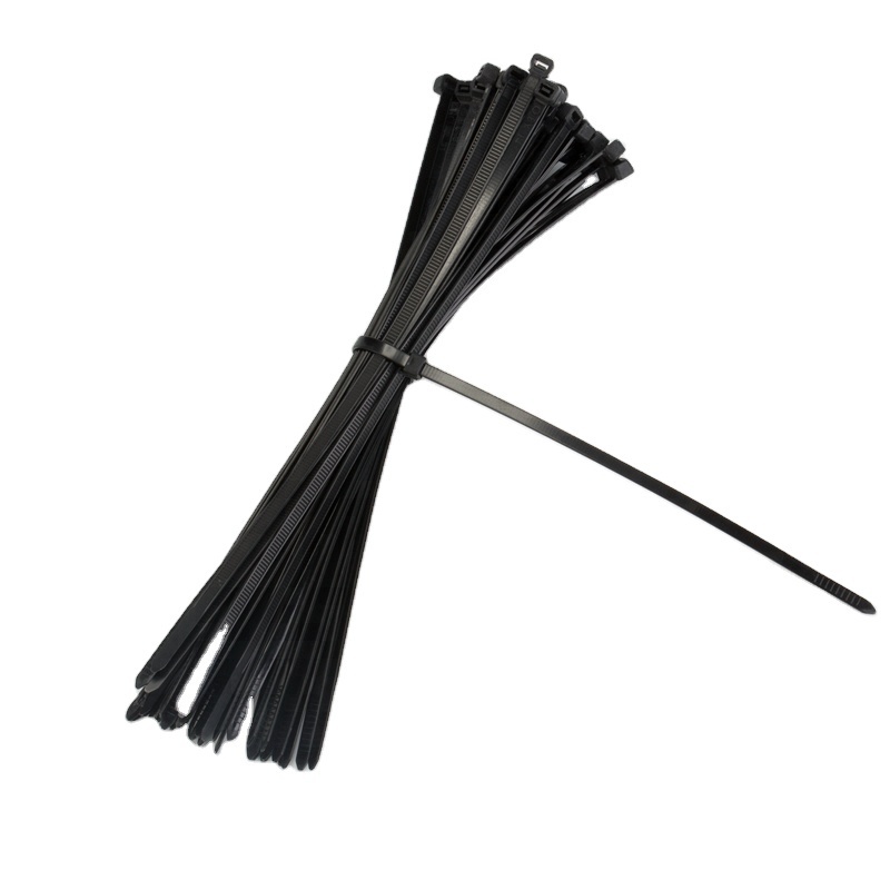 100 PCS/Bag Wire Fixing Black Nylon 66 Cable Zip Ties Self Locking ...
