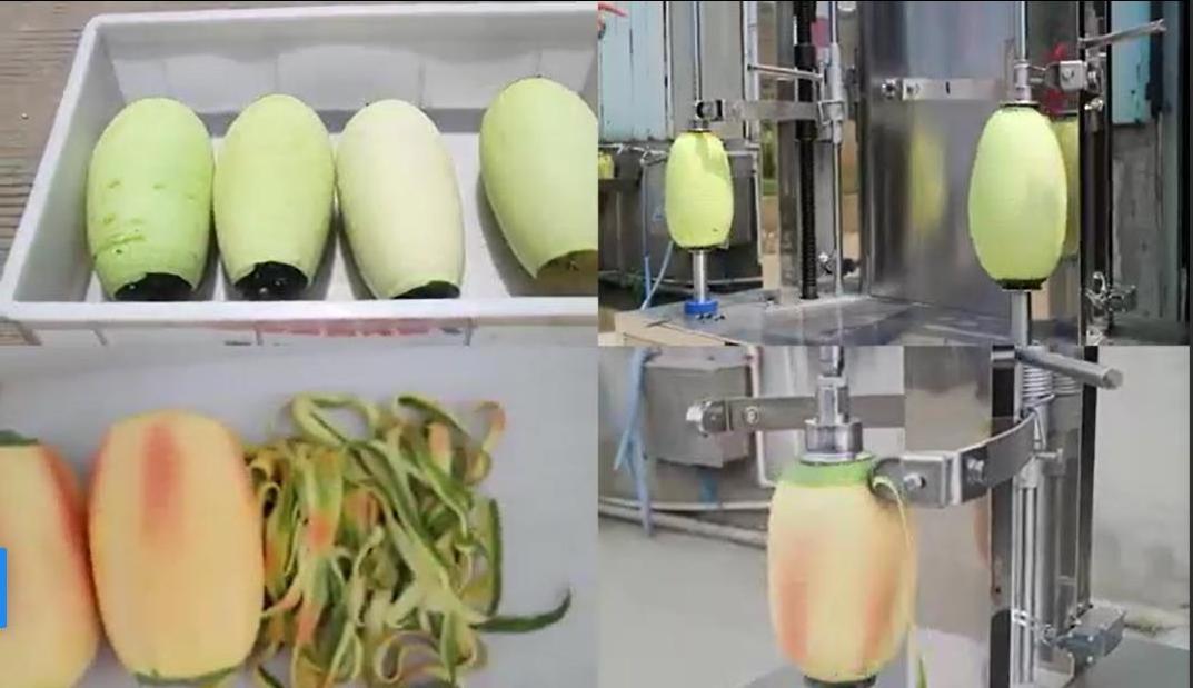 STAINLESS STEEL orange peeler/fruit peeling machine/citrus skin removal ...