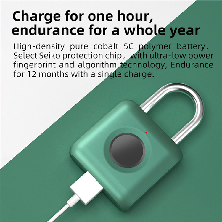 OEM Waterproof IP 62 Smart lock Digital Fingerprint Padlock Smart ...