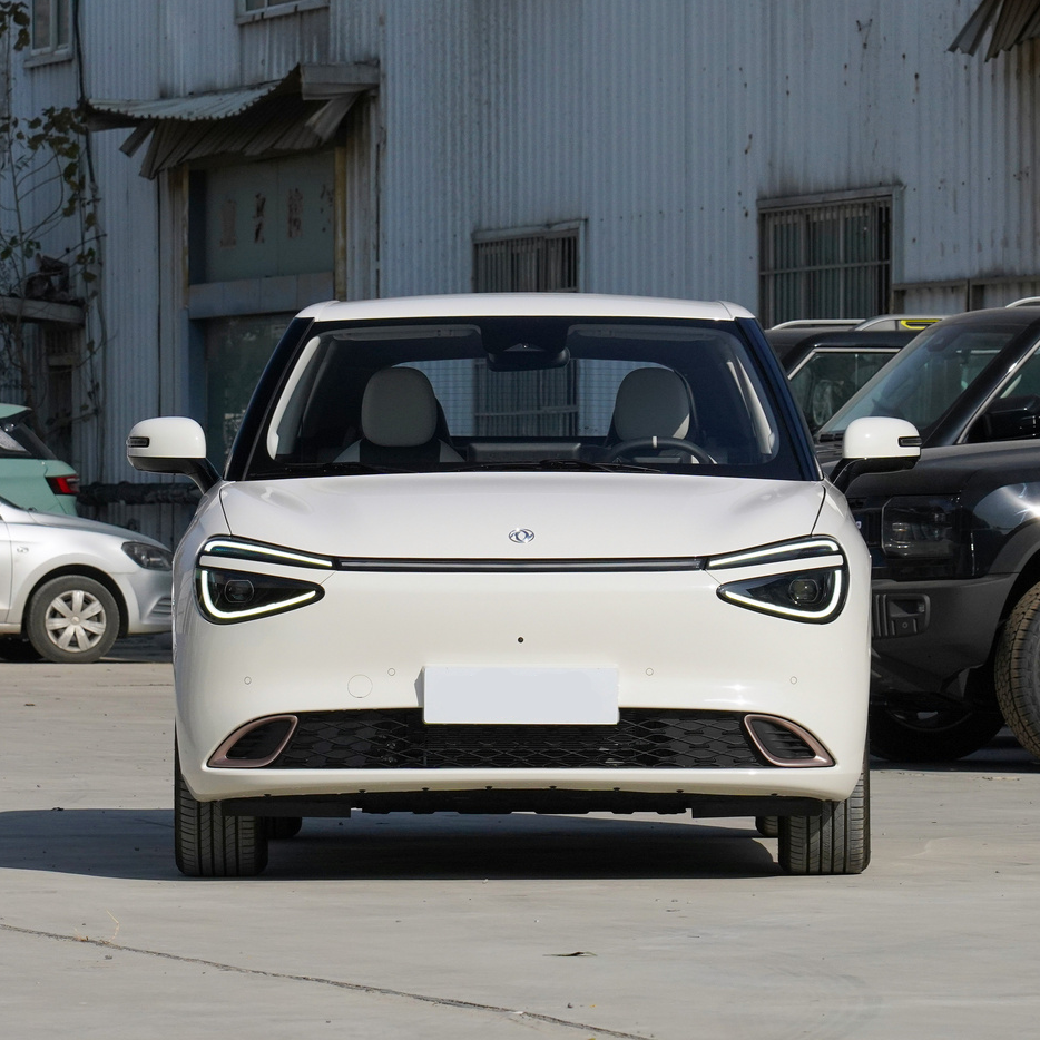 2023 2024 Dongfeng Nami Box EX1 01 High Quality Small Electric Car ...