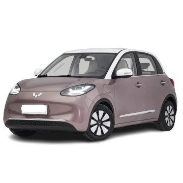 New Energy Vehicles Pure Electric Cars Mini Ev Car 2023 Wuling Binguo Ev 5 Door 4 Seat Wiling ...