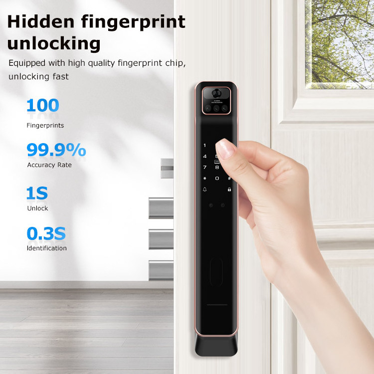 Outdoor remote control face fingerprint recognition smart lock for ...