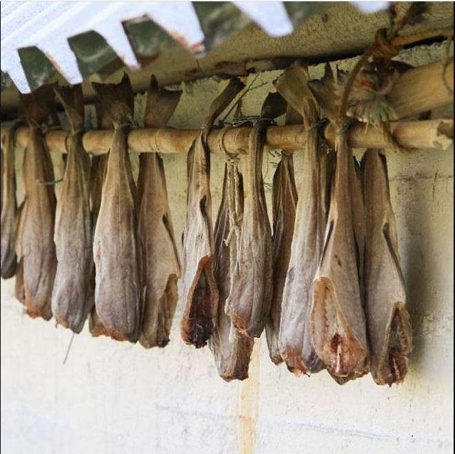 Cheap frozen reef cod fish dried stock fish head sizes dry stockfish in ...