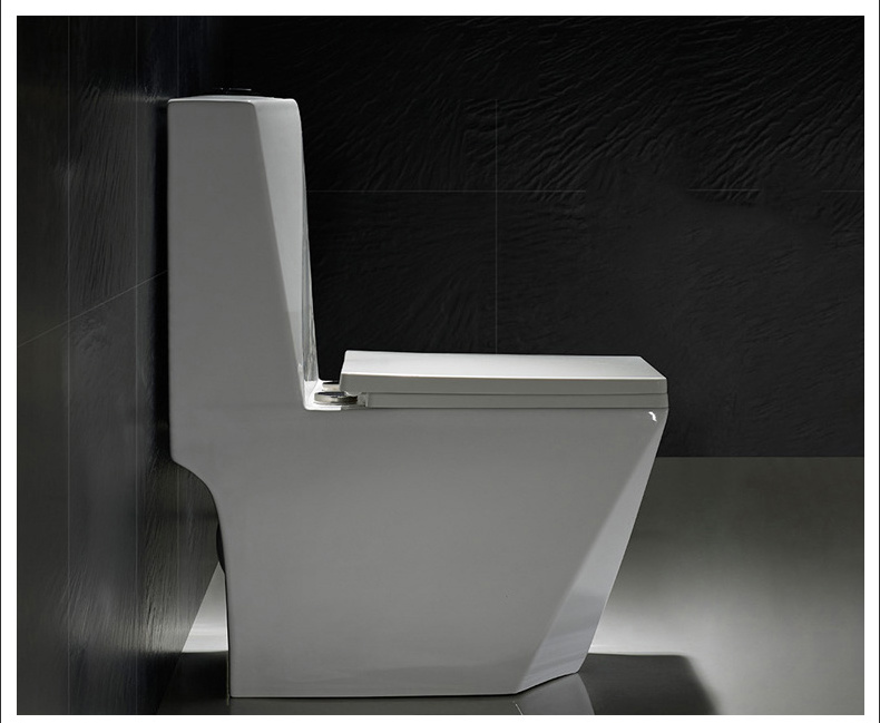 Washdown diamond type flush toilet seat , one piece tall ceramic toilet ...