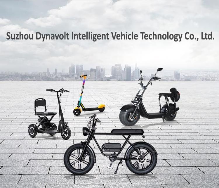 Dynavolt 2 wheel citycoco electric scooter 2000w store