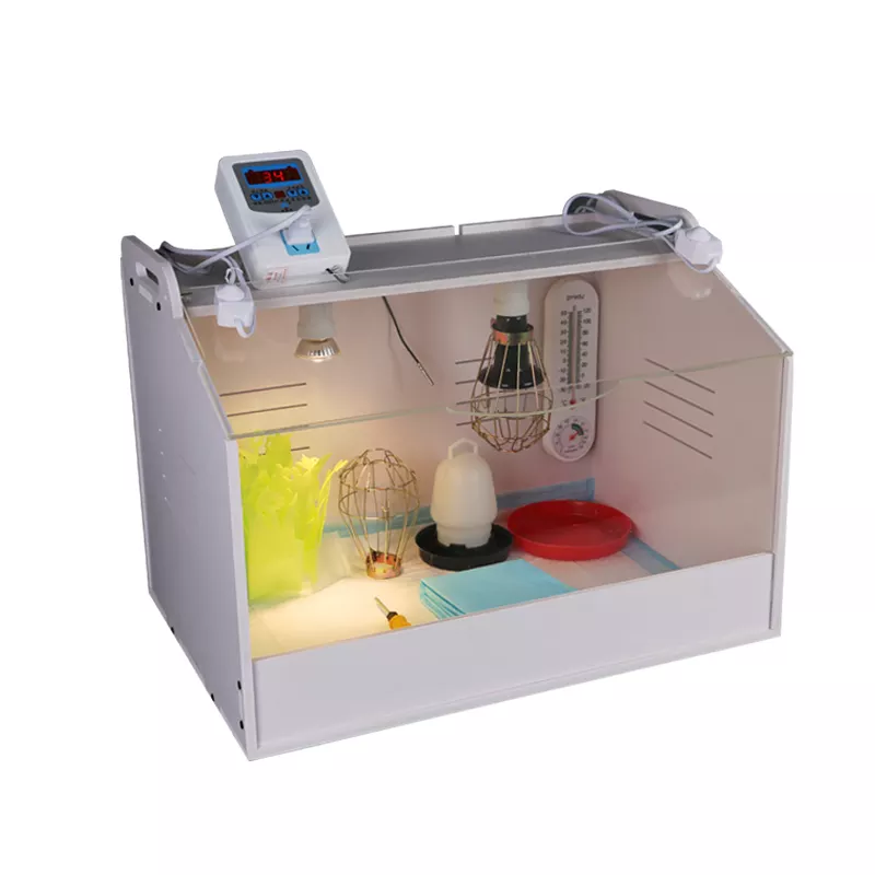 Home use poultry birds quail raising breeding brooder box fancy cage ...