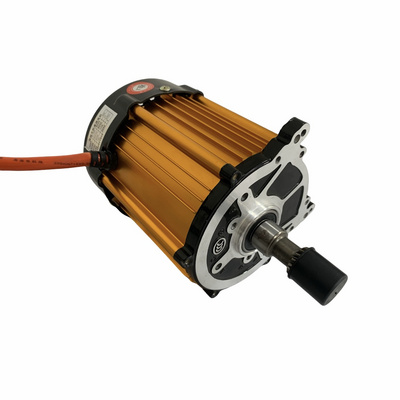 Electric Car Conversion Kit 1000w E Rickshaw Spare Parts Brushless Dc Motor 48v BestSuppliers