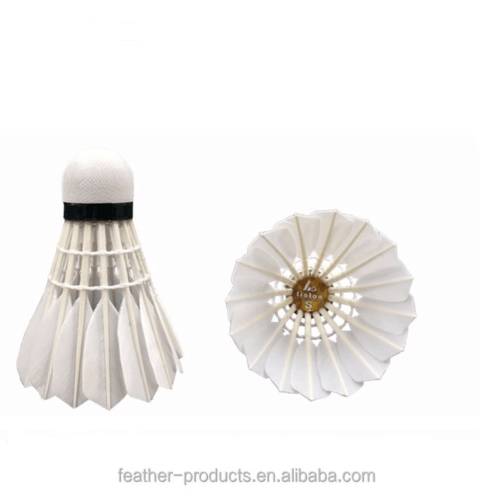 OEM Badminton indoor sports Malaysia and Indonesia Market RSL ...