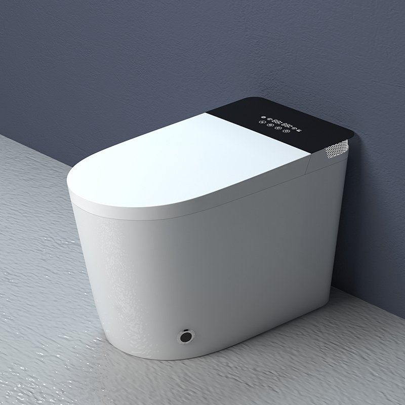 China's Chaozhou Intelligent Toilet with a Minimum Pit Distance Sensor ...