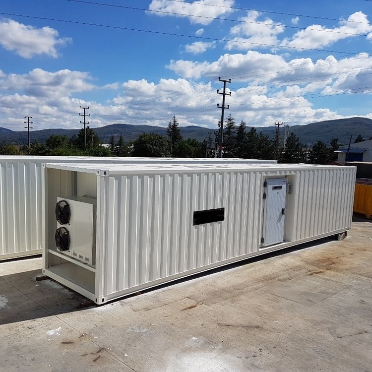 20ft Container Food Cold Storage Rooms Walk In Freezer Mobile Container ...