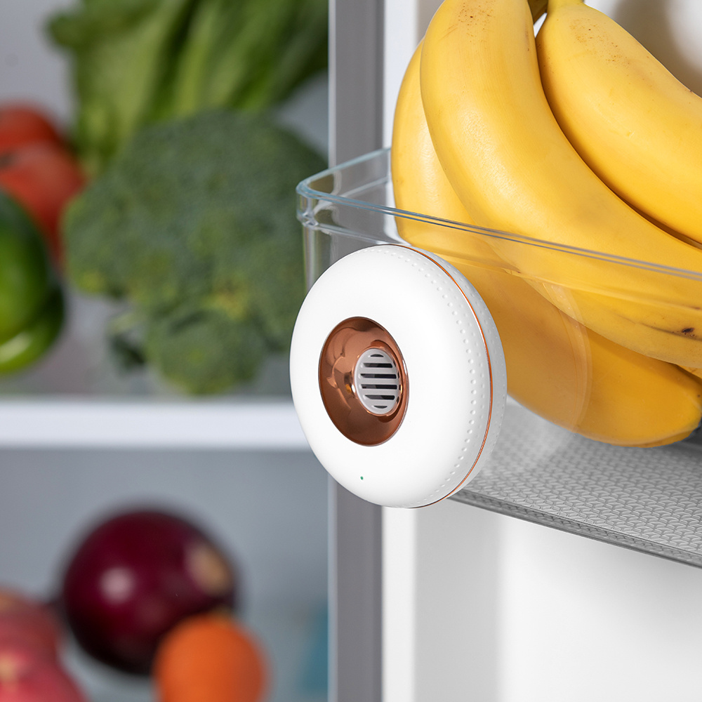 Ozone Generator Fridge Deodorant Fresh Keeping Sterilization ...