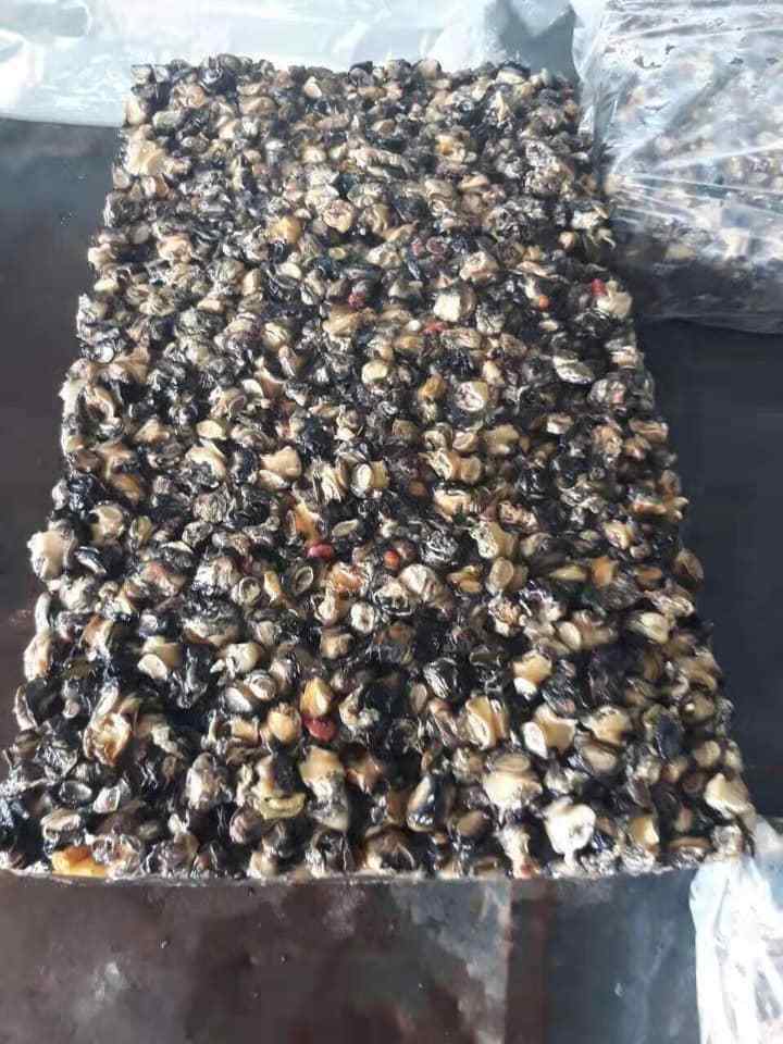 High quality Apple Snail Moon frozen - OEM pack Pila Polita Meat for ...