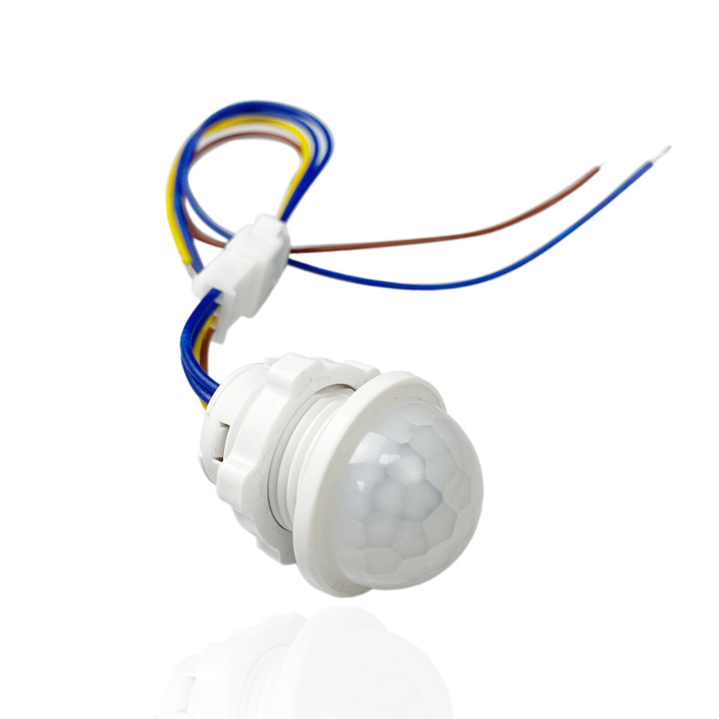 PIR Sensor Detector Smart Switch 110V 220V AC/DC12V mini LED PIR ...