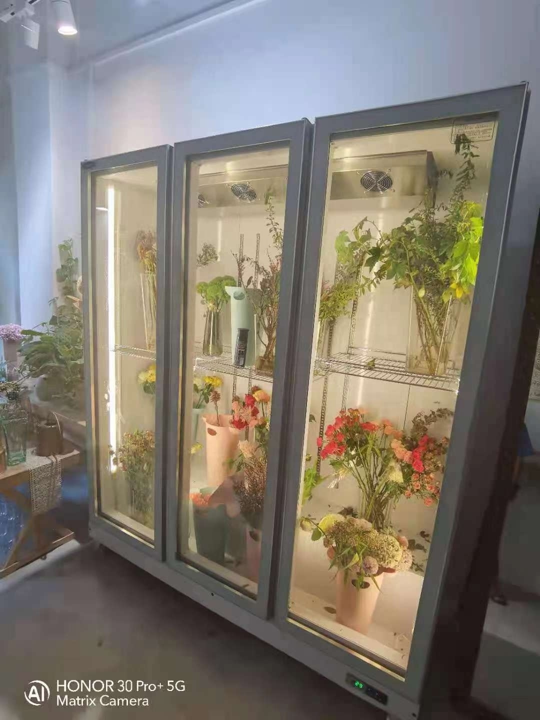flower fridge display chiller stand cooler | Bestsuppliers.com