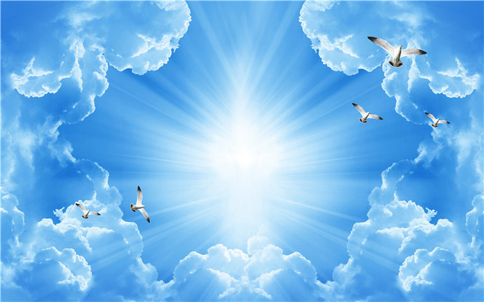 customize sky cloud ceiling mural wallpaper White pigeons 3d effect ...