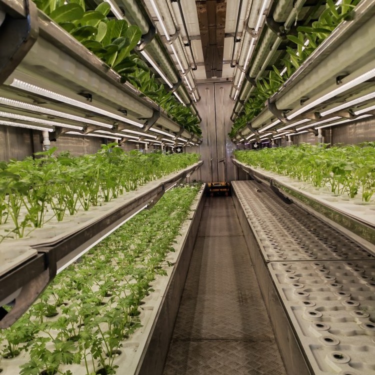 hydroponic container system vertical farming greenhouse container ...