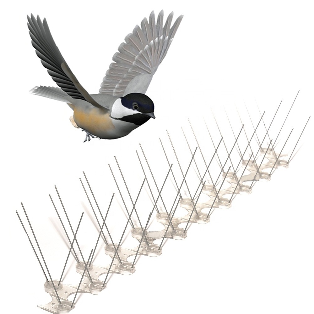 Pigeon traps of bird proofing products bird spikes | Bestsuppliers.com