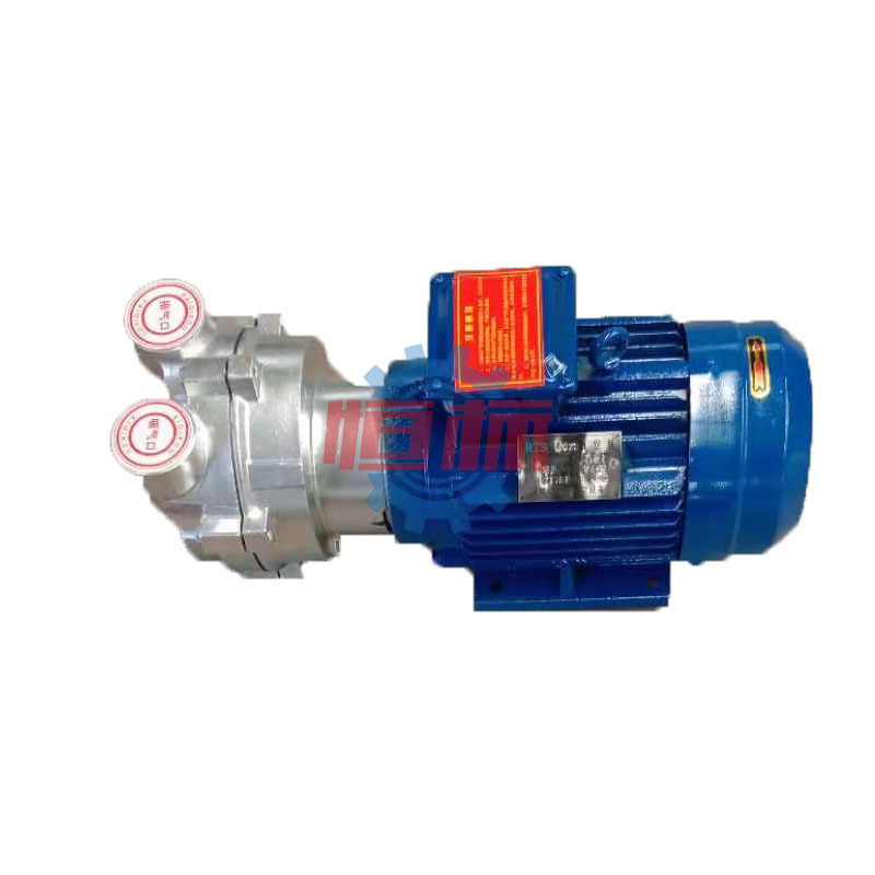 2BV Series Monoblock Single Stage Liquid Ring Vacuum Pump Cast Iron Stainless Steel Circulation ...