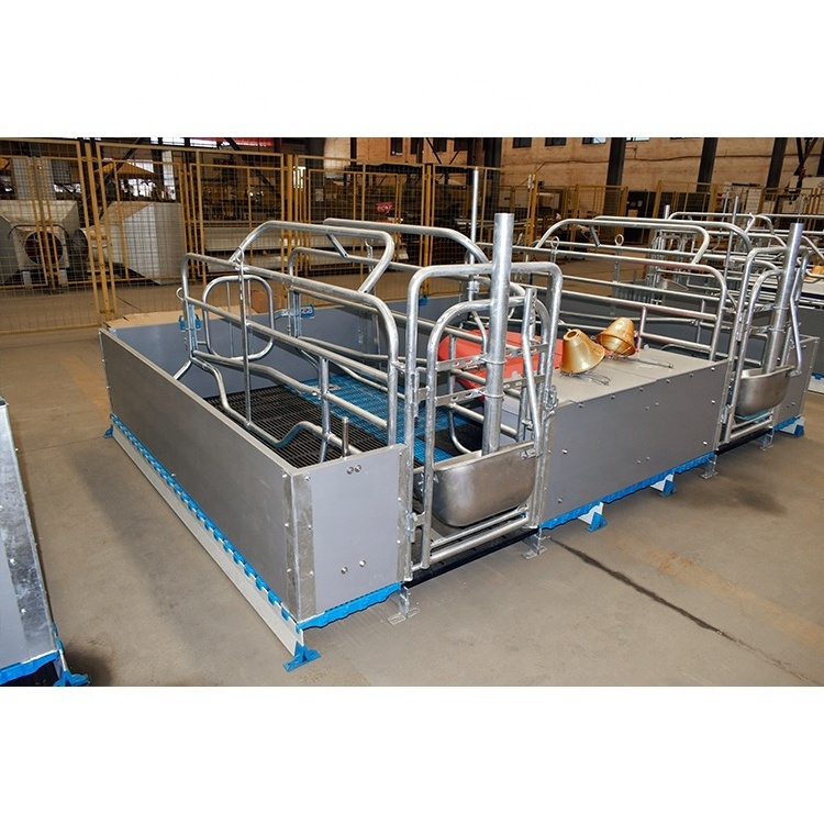 Pig farming equipment Animal cages used in pig farm farrowing crates ...