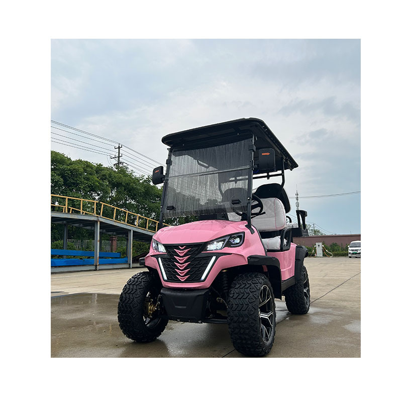 huaxin Customized Luxury Zone 2023 Golf Cart Lifted Off Chinese ...