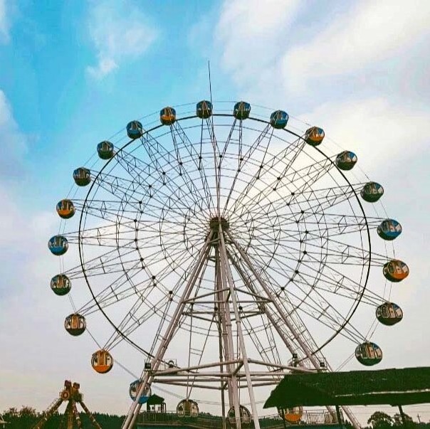 Amusement Park Popular Commercial Rides Sightseeing Ferris Wheel Kiddie ...