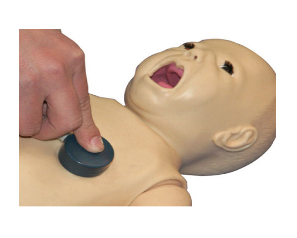 GD/ACLS145 General Doctor Comprehensive ACLS Neonate Manikin for ...