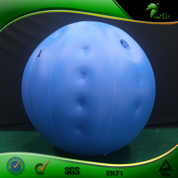 Custom Blueberry Suit Inflatable Hongyi Funny Balloon Suit Men Costume ...