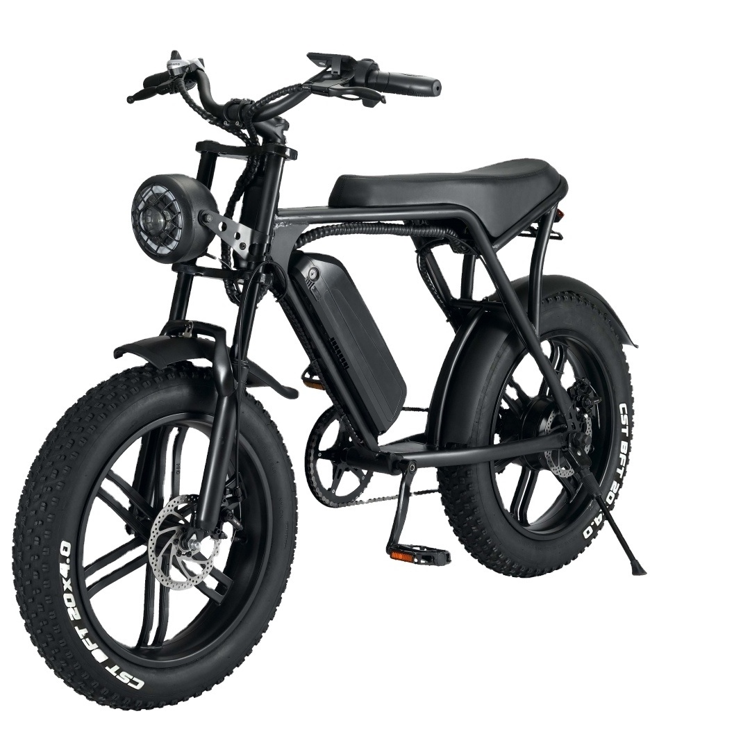 20 Electric Bicycle 48V 750W e bike with rear hub motor Fat tire Side Car Electric bike ...
