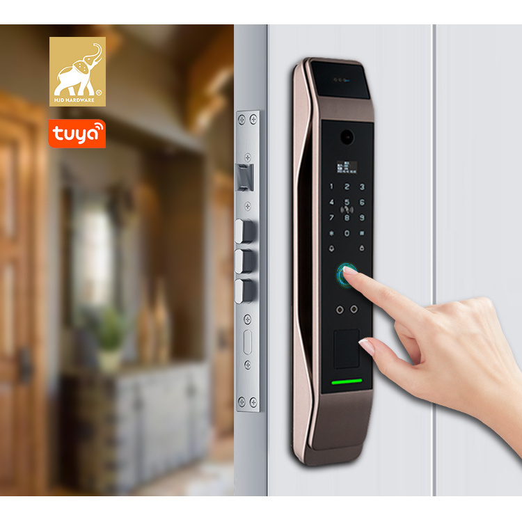 HJD Outdoor Electric Lock Serrur Intelligent Security Chapas Smart Lock ...