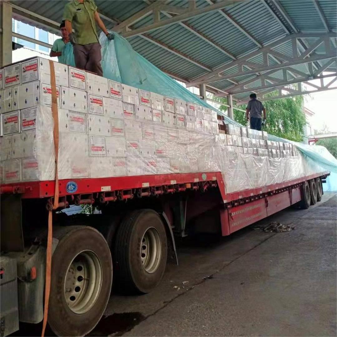 High Sugar Instant Dry Yeast 500g with bv,haccp,halal certification ...