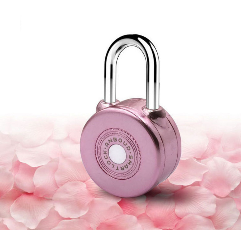 Wireless Keyless Smart bike lock for motorcycle door electric bicycle ...