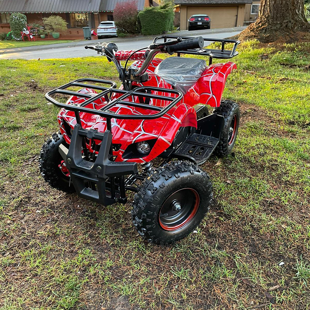 2 stroke 49CC 50cc cuatrimoto Mini ATV beach buggy Four Wheel Gasoline kids Quad Bikes Atv For ...