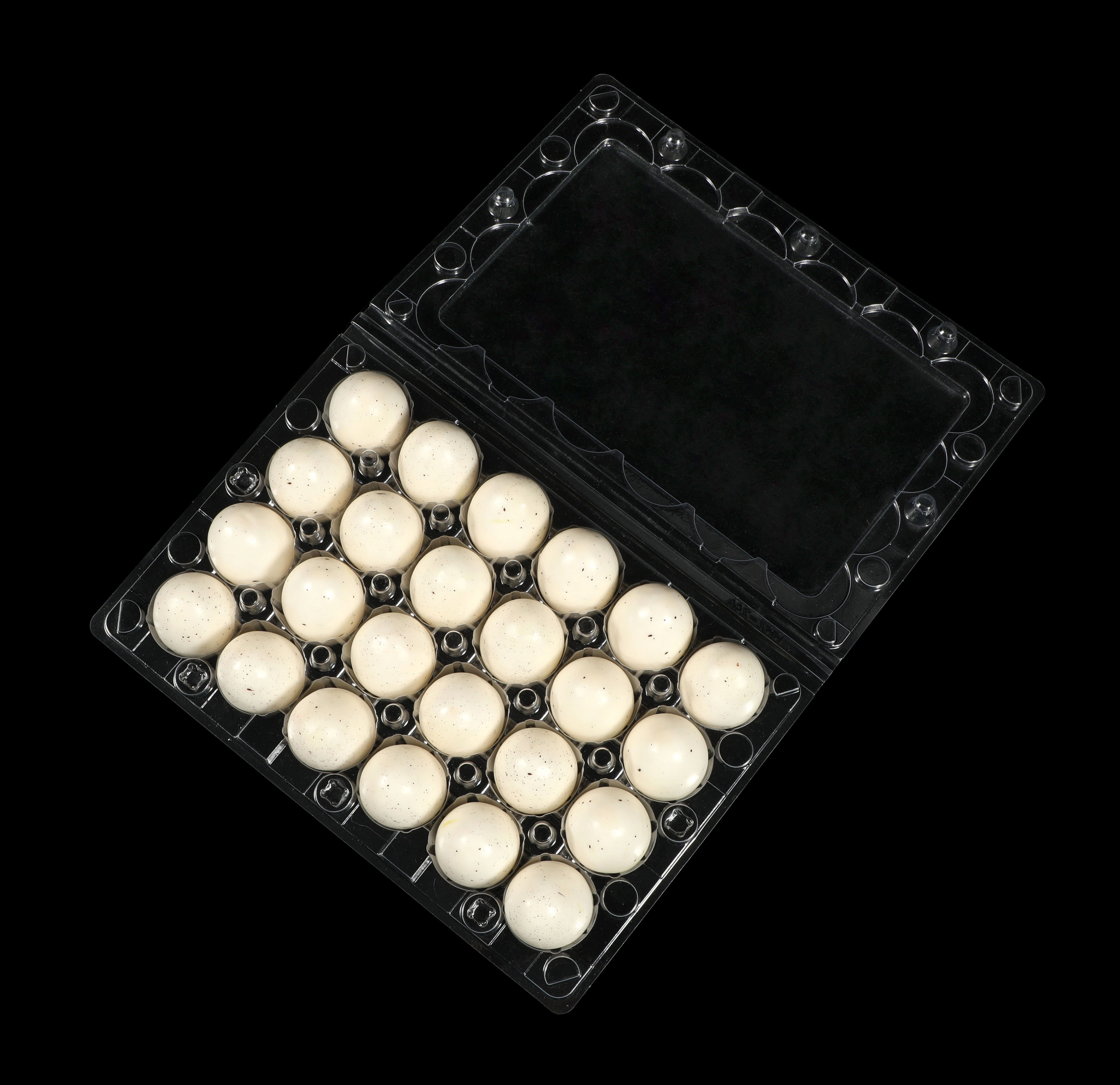 High Quality 15 20 Holes Quail Eggs Carton Packing Box Clear Plastic ...