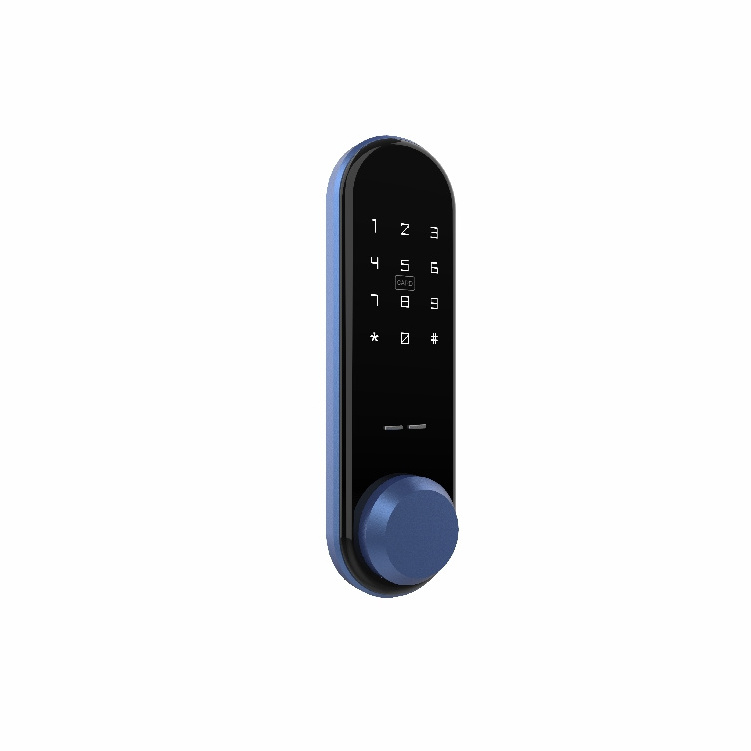JIXIN 80 Pin Codes Smart Door Lock Fingerprint Smart Lock For Glass ...